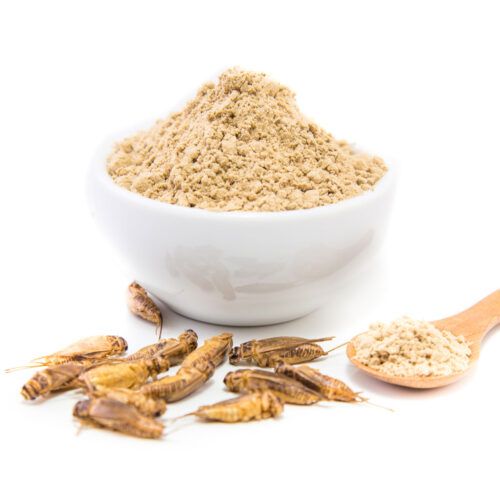 Cricket Powder (Acheta Domesticus) - JR Unique Foods Ltd