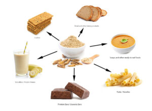 Cricket Powder (Acheta Domesticus) - JR Unique Foods Ltd