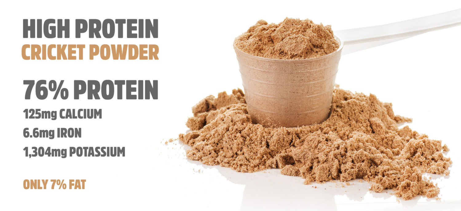 JR Unique Foods Ltd – Manufacturer of edible insect products since 2003