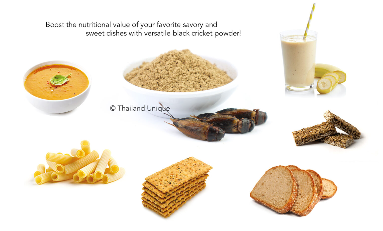 Cricket Powder (Gryllus Bimaculatus) - JR Unique Foods Ltd