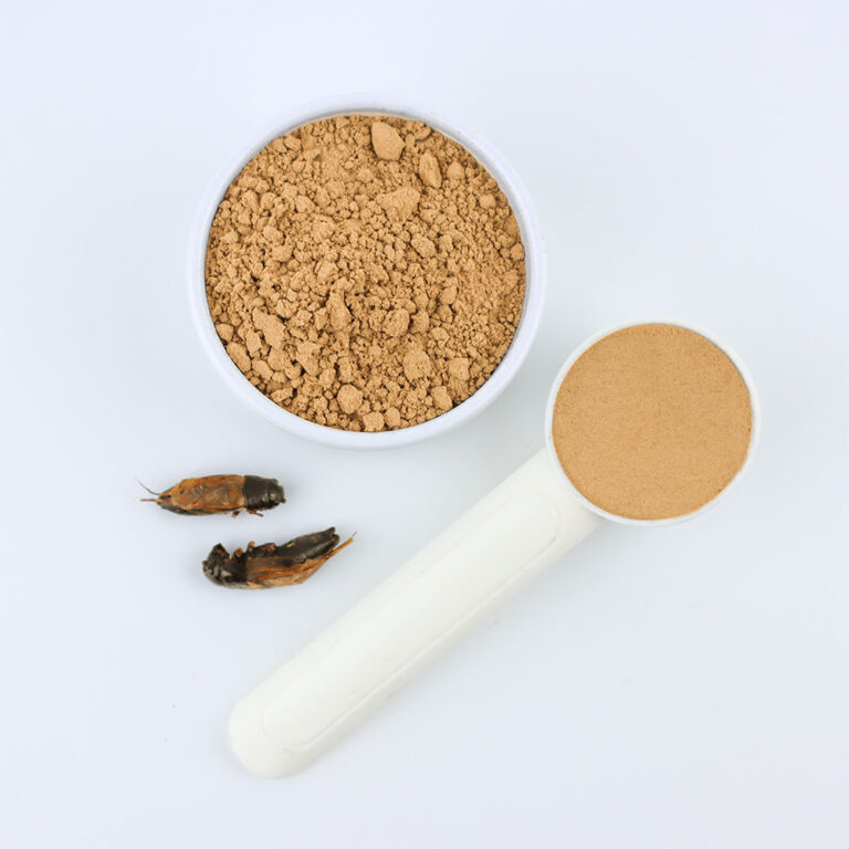 Cricket Powder (Acheta Domesticus) - JR Unique Foods Ltd