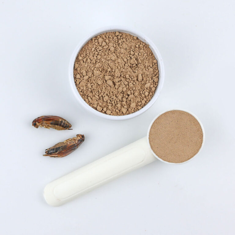 Cricket Powder (Acheta Domesticus) - JR Unique Foods Ltd