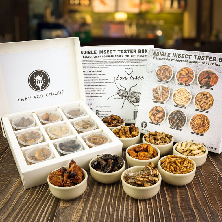 Edible Insect Gift Set Box - JR Unique Foods Ltd